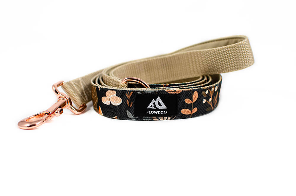Heliopsis - Plus Leash | Durable Dog Collars & Leashes | Flowdog ...