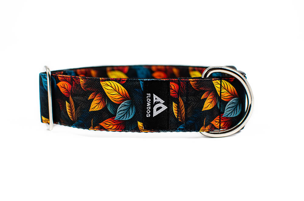 Leaves - Plus Buckle Dog Collar | Durable Dog Collars | Flowdog ...