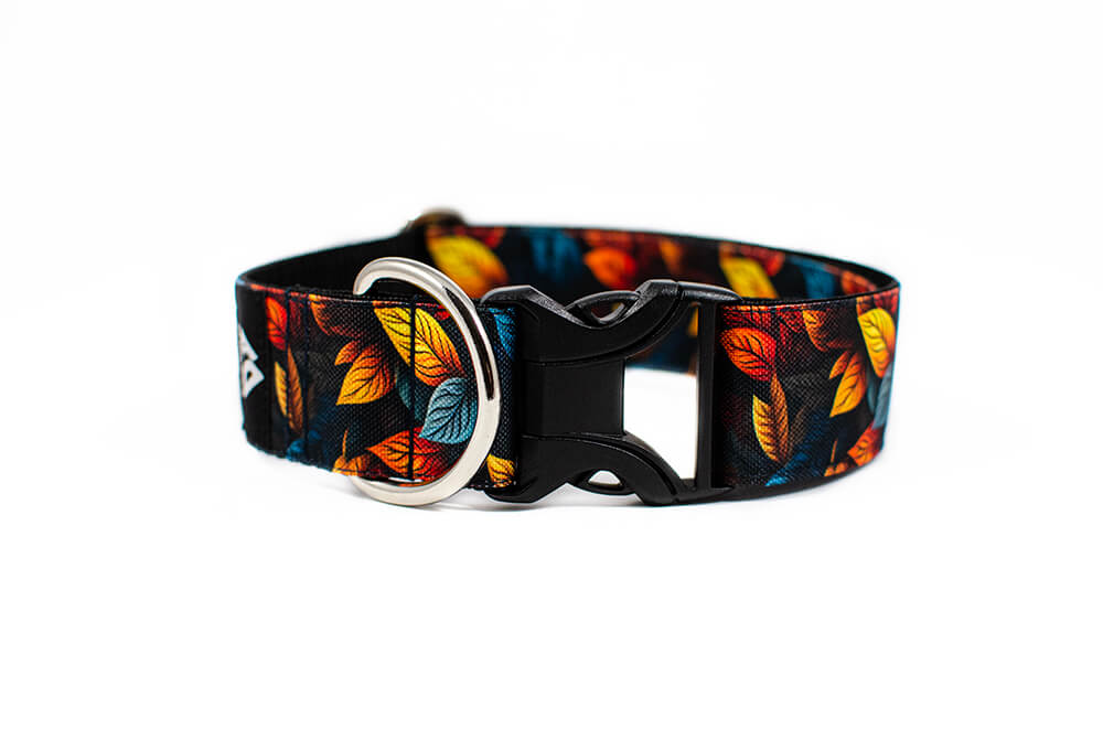 Leaves - Plus Buckle Dog Collar | Durable Dog Collars | Flowdog ...