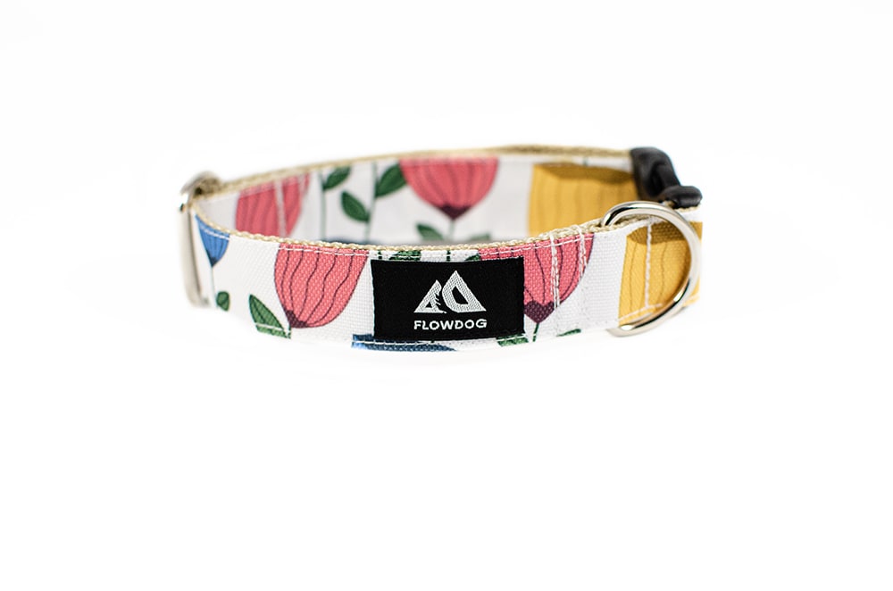 Tulip - Plus Buckle Dog Collar | Durable Dog Collars | Flowdog ...