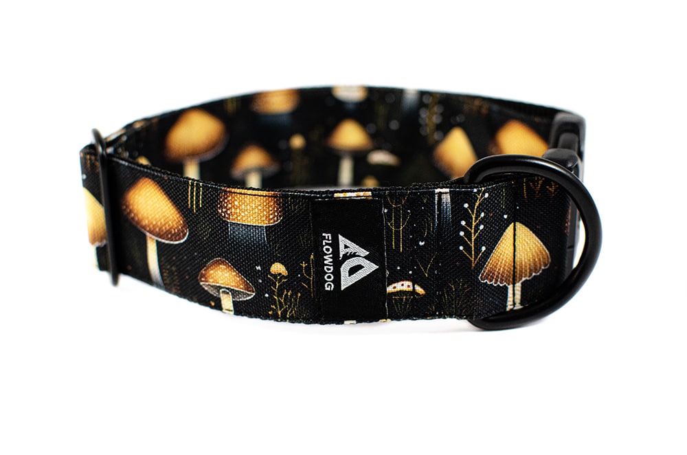 Mushroom - Plus Buckle Dog Collar | Durable Dog Collars | Flowdog ...