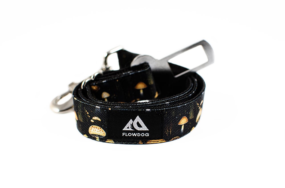 Mushroom - Dog safety belt | Adventure proof dog collars & leashes ...
