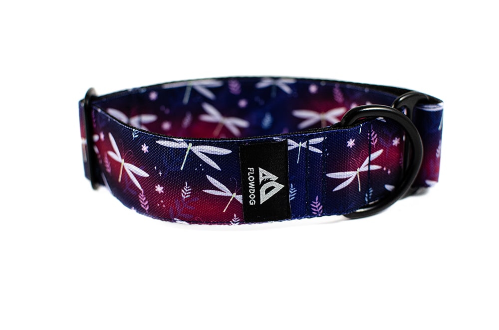 Dragonfly - Plus Slip-on Collar | Durable Dog Collars | Flowdog ...